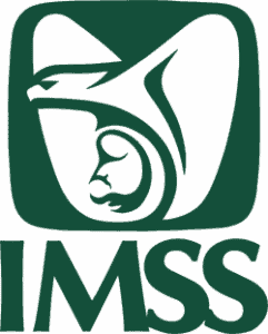 The Mexican Social Security Institute: An In-Depth Report - Start-Ops ...